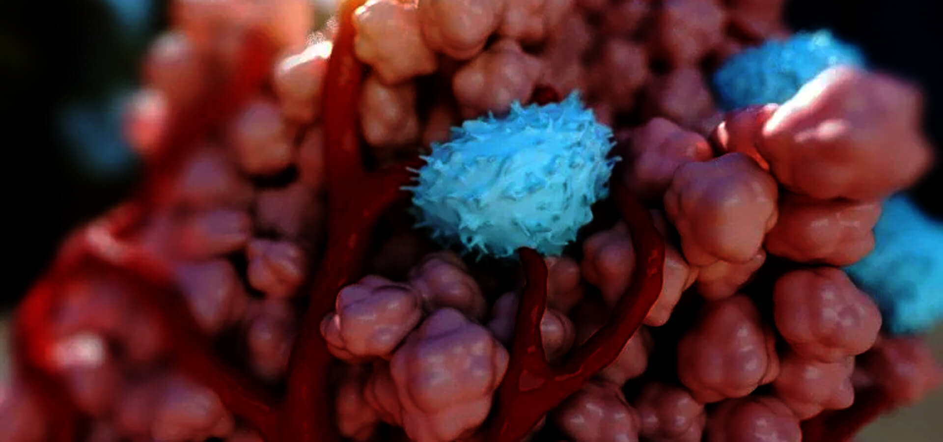 Electrophysiological screening platform, a diverse portfolio of standard and customized drug ...