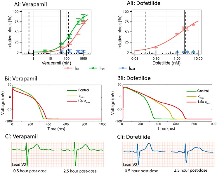 CiPA Cardiac Channel Assays - Creative Bioarray