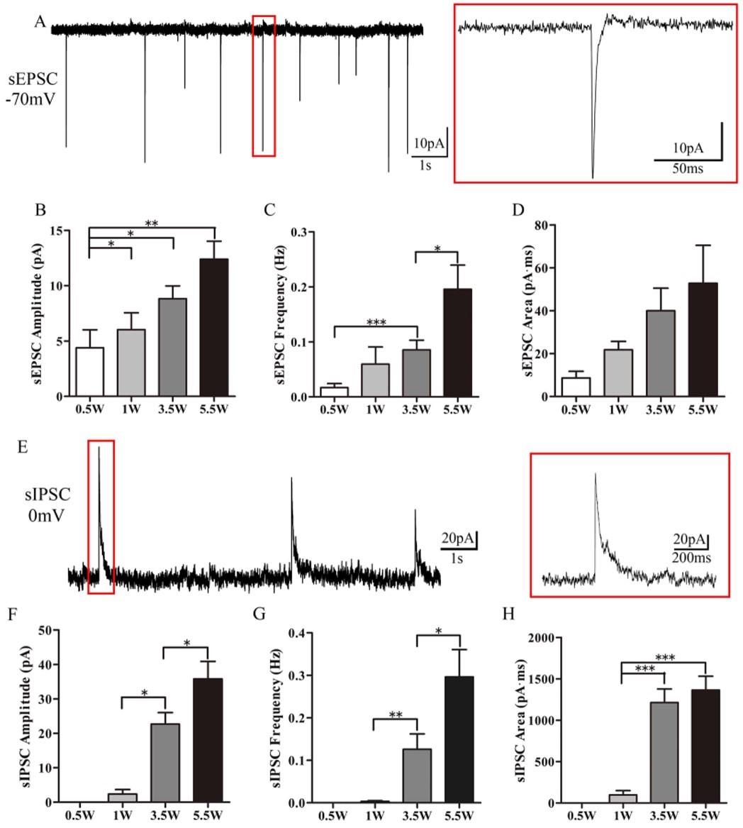 sEPSC/sIPSC Recordings - Creative Bioarray