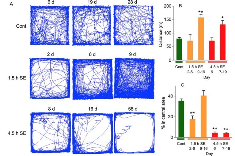 Spontaneous Locomotor Functions - Creative Bioarray