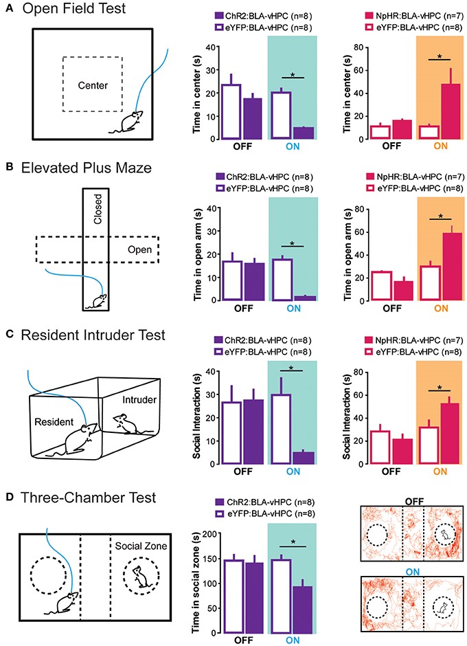 Anxiety/Depression and Social Interaction Evaluation - Creative Bioarray