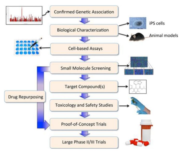 Psychiatric Model - Creative Bioarray