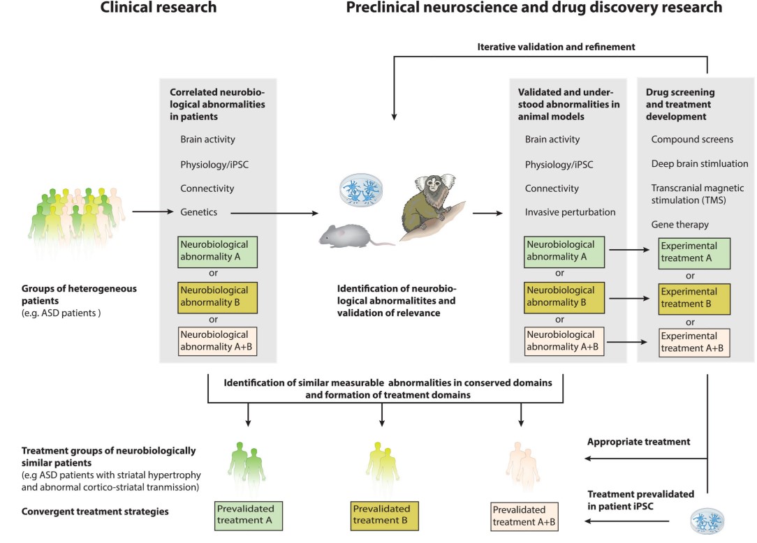 Psychiatric Model - Creative Bioarray