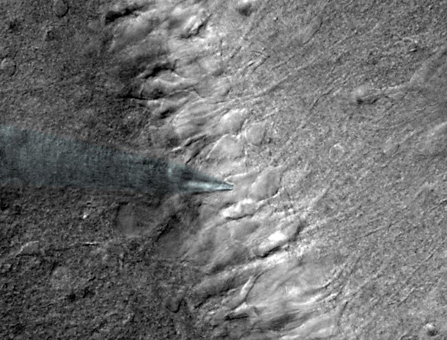 Manual Patch-clamp Technique - Creative Bioarray