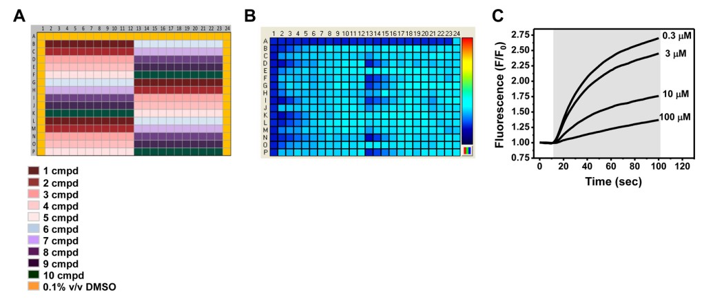 FluxORTM Thallium Assay - Creative Bioarray